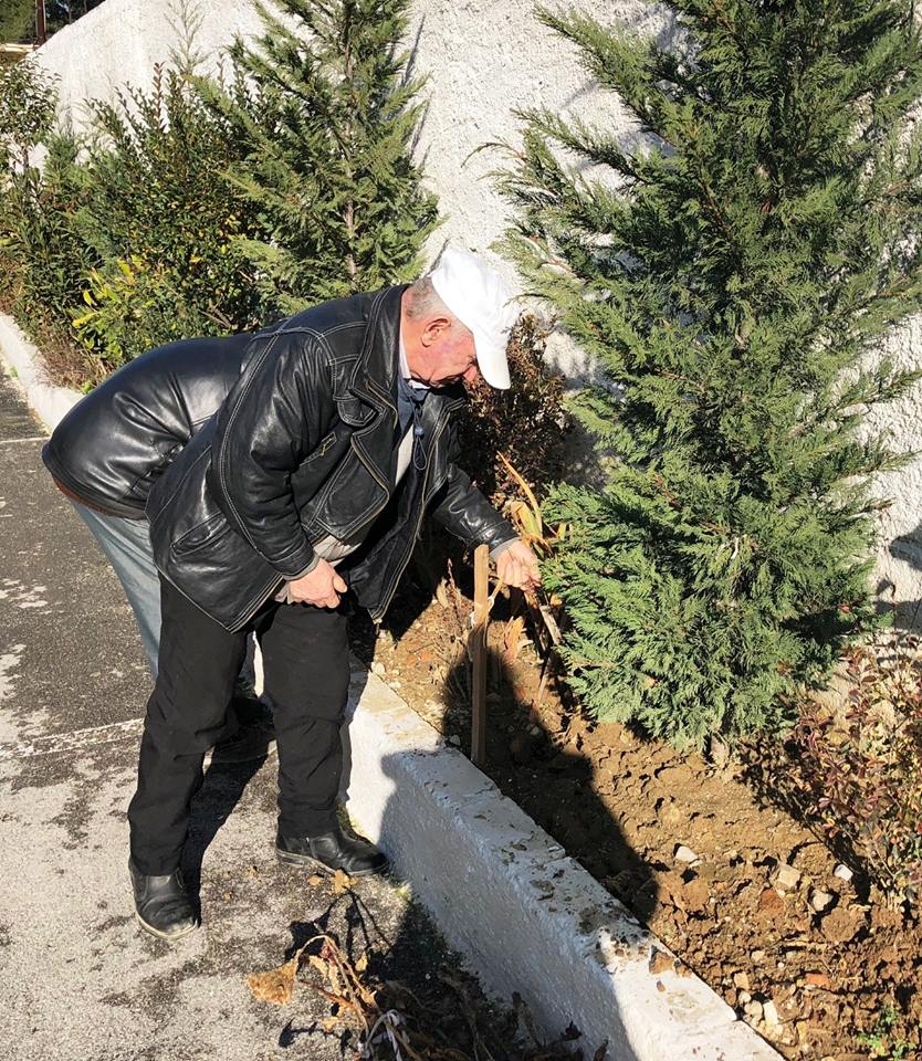 Dimri vjeshtë e dytë, ku çdo gjethe është një lule… – Pozitivi