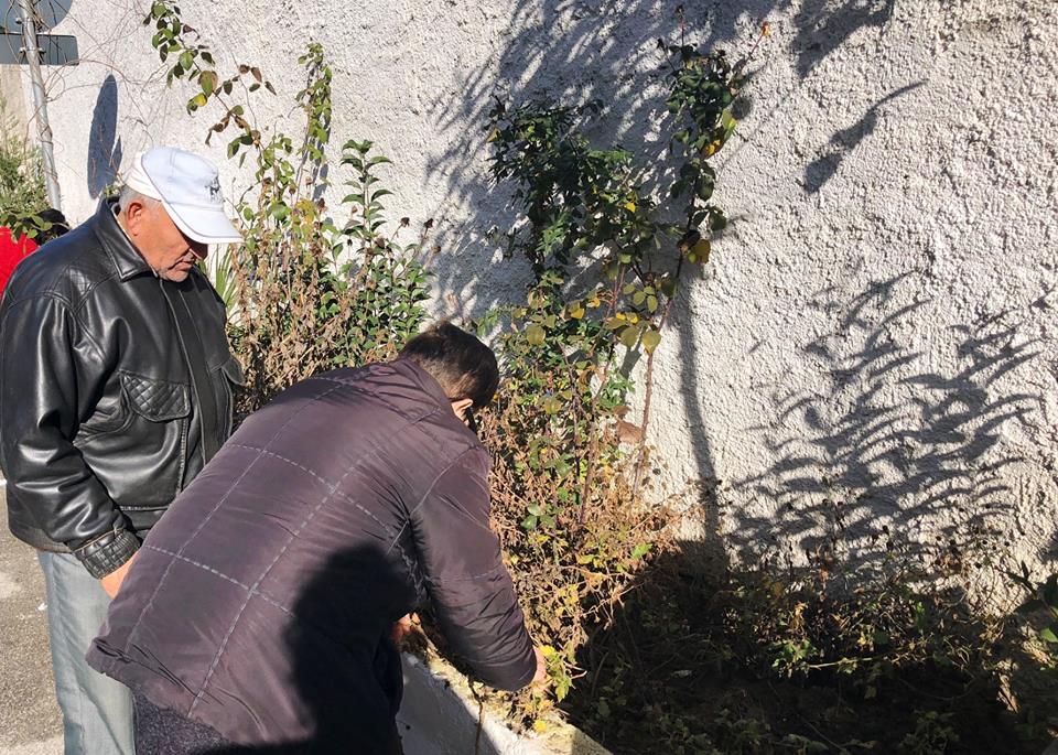 Dimri vjeshtë e dytë, ku çdo gjethe është një lule… – Pozitivi