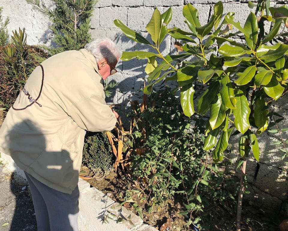 Dimri vjeshtë e dytë, ku çdo gjethe është një lule… – Pozitivi