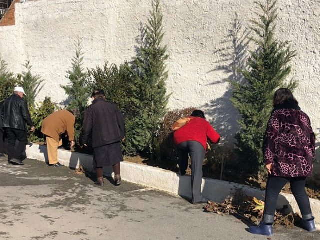 Dimri vjeshtë e dytë, ku çdo gjethe është një lule… – Pozitivi