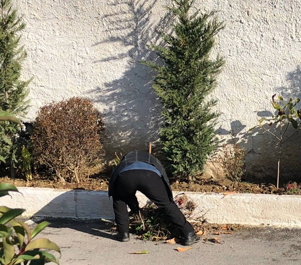 Dimri vjeshtë e dytë, ku çdo gjethe është një lule… – Pozitivi